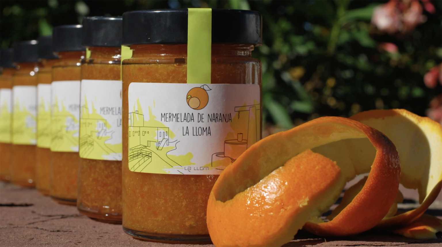 Asociación – La Lloma. El Puig. Valencia. Opus Dei.